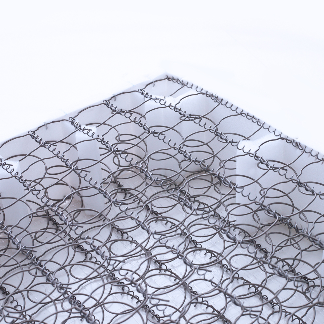 Globe | Sealy Posturepedic Thailand